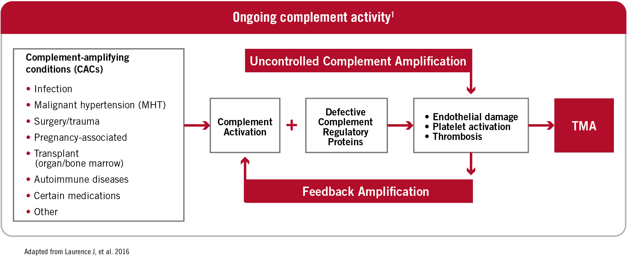 aHUS Source | Atypical Hemolytic-Uremic Syndrome (aHUS)